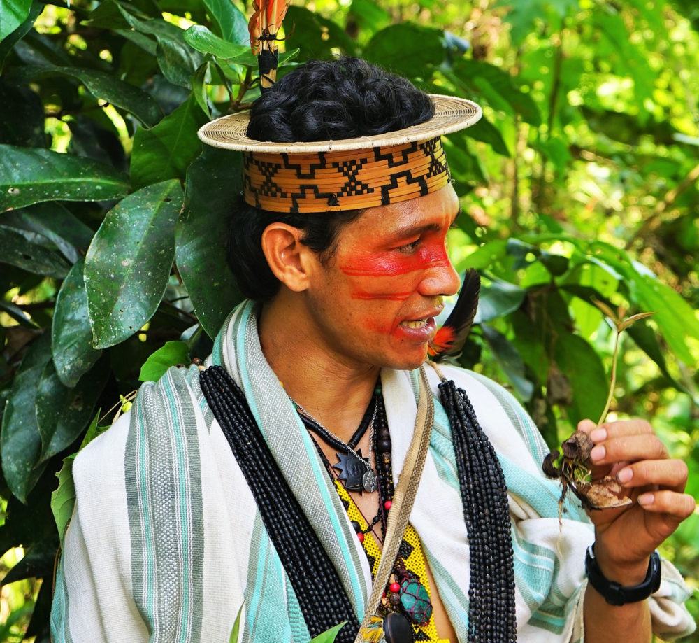 Benki Piyãko: sustentabilidade que vem da sabedoria indígena - Believe ...